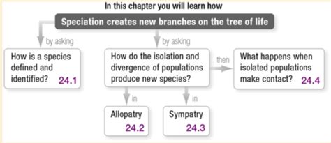 Chapter 24 Speciation Flashcards Quizlet