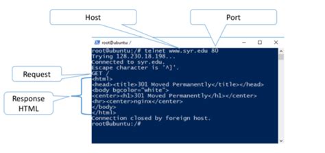 19 Web And Apis Flashcards Quizlet