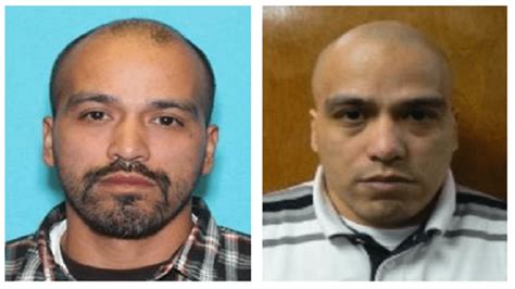 Dps Searches For San Antonio Sex Offender