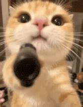  De Cat With Gun Tenor