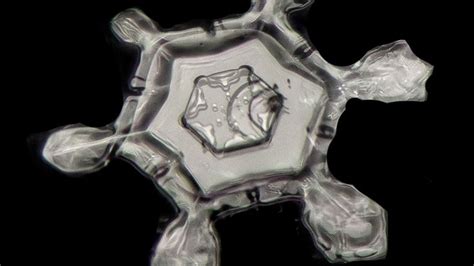 A 12 Sided Snowflake Colorado Photographer Captures Unusual Snowflake Formation Fox Weather