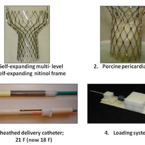 Four Components Of Corevalve Revalving Tm System Download Scientific Diagram