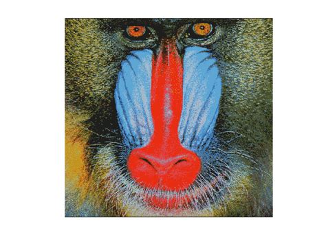 Imapprox Approximate Indexed Image By Reducing Number Of Colors Matlab