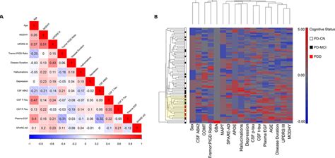 correlations among candidate biomarkers for cognition a pairwise download scientific diagram