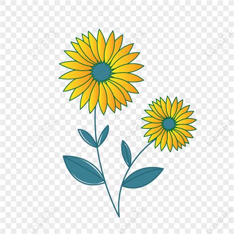 두 피는 노란색 봄 꽃만화 꽃꽃 장식꽃들 Png 일러스트 무료 다운로드 Lovepik