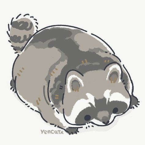 Cute Raccoon Drawing Simple