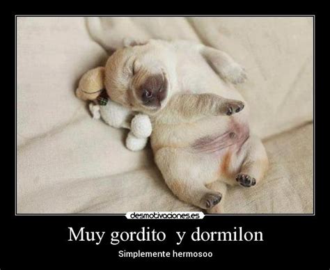 Muy Gordito Y Dormilon Desmotivaciones