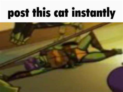 He Looks Like A Bug 😭 Tmnt Tmnt Turtles Ninja Turtles