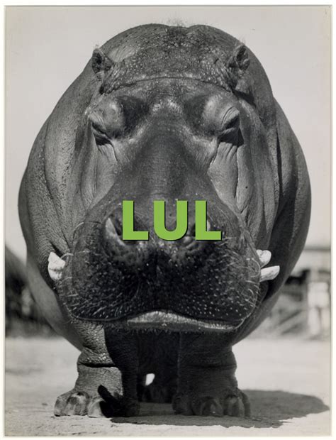 Lul Meaning
