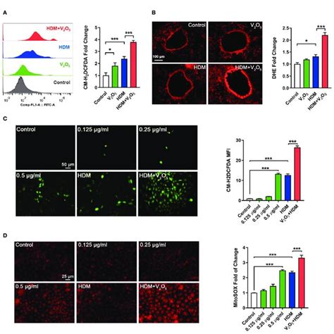 V 2 O 5 Co Exposure Potentiates Hdm Induced Ros Generation A Ros Download Scientific