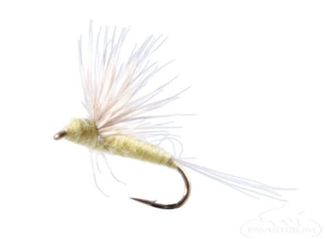 28 Attractor Nymph Flies Ideas Fly Fishing Nymphs Hares Ear Nymph