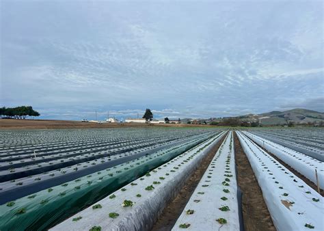 This Earth Day Naturipe Farms Celebrates Those Who Drive
