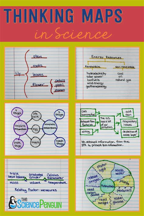 Sequencing Thinking Map At Jessica Stock Blog