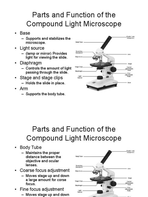 Parts And Function Of The Microscope Pdf In 2023 Microscope Function Microscope Parts