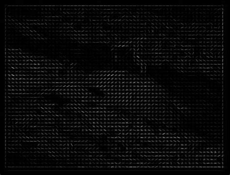 Hog Object Detection Dataset By New Workspace 7veom
