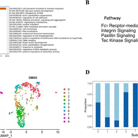 Neuronal Cluster 2 Analysis With And Without Depe Exposure A The Top