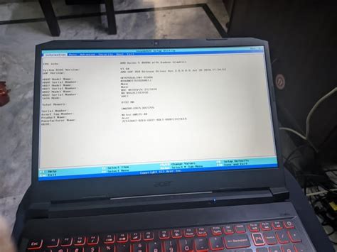 Bios Hangs When I Try To Reset The Bios Racernitro