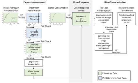 Process Flow Diagram Of Qmra Stochastic Analysis Logic Cumulative Download Scientific Diagram