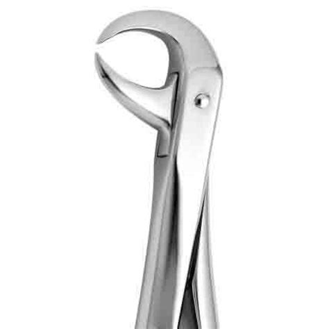 Coricama Tooth Forceps English Pattern 86 C Cow Horn C625865 Matrix Dental