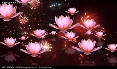 莲花特效 莲花 伤感说说吧