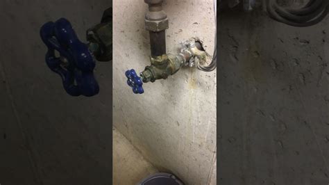 How To Fix A Leaking Main Water Shut Off Valve At Corrina Davis Blog