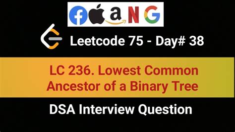 Leetcode 236 Lowest Common Ancestor Of A Binary Tree 38th In Leetcode 75 Youtube