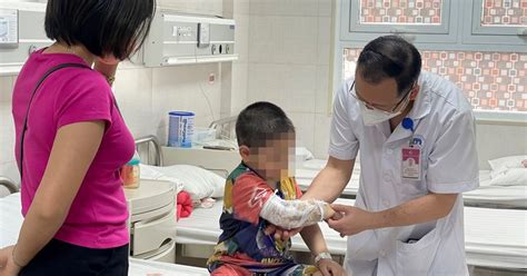 Chó Béc Giê Tấn Công Khiến Bé 3 Tuổi Chấn Thương Vỡ Thận