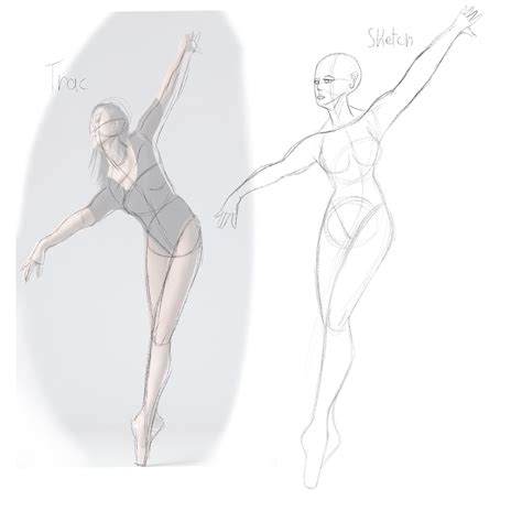 I Did A Trace And Sketch Study Trace On The Left And My Sketch On The Right Any Criticism Would
