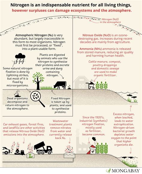 Agricultural Nitrogen Pollution Is Global Threat But Circular