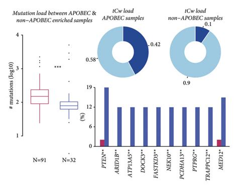 De Novo Mutational Signature Analysis Mutation Signatures Matched Download Scientific Diagram