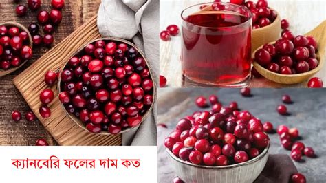 ক্যানবেরি ফলের দাম কত ২০২৫ বর্তমান দাম কত