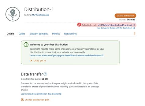 Add Cloudfront Cdn Distribution To Wordpress Application Hosted On Amazon Lightsail