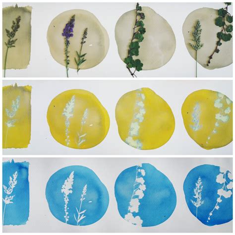 Easy Step By Step Instructions For Starting Your Cyanotype Photography