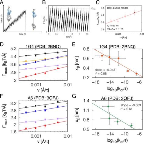Coarse Grained Molecular Dynamics Simulations Support A Negative Download Scientific Diagram