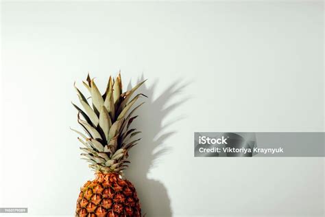 단단한 그림자가 있는 흰색 배경에 파인애플 탑 평면도 플랫 레이 복사 공간 그림자에 대한 스톡 사진 및 기타 이미지 그림자 파인애플 0명 Istock