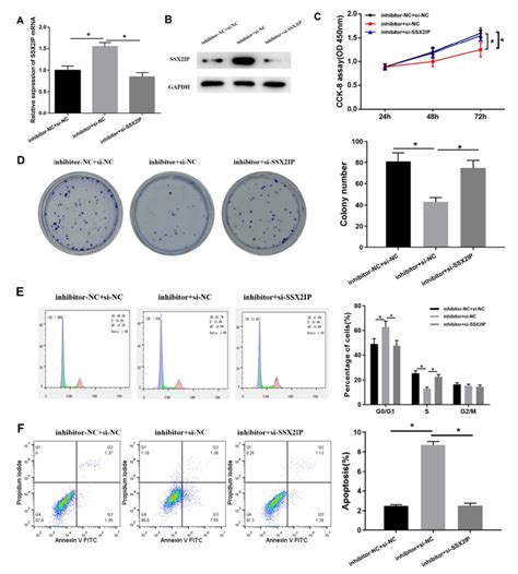 Low Mirna 181b 5p Level Affects The Biological Functions Of Cancer