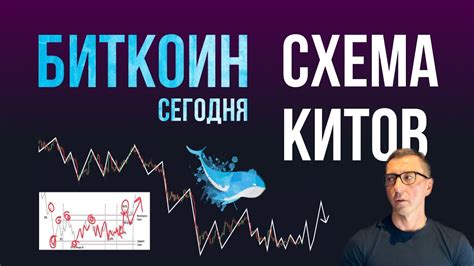 БИТКОИН СХЕМА КИТОВ 🐳 - YouTube