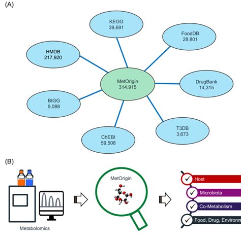 iMeta 南农沈其荣团队发布微生物网络分析和可视化R包ggClusterNet 知乎