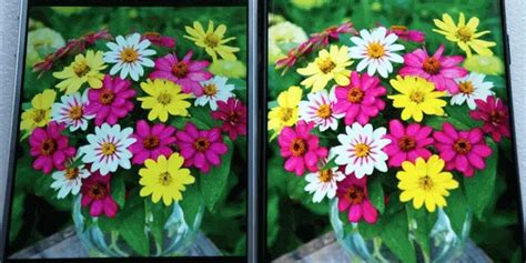 Cuáles Son Las Diferencias De Las Pantallas Para Celulares Y Cómo Elegir La Más Adecuada Infobae