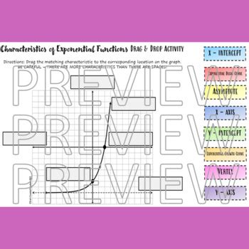 Characteristics Of Exponential Functions Drag Drop DIGITAL Activity