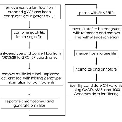 Flow Diagram Of The Gvcf Processing Steps These Steps Were Taken Download Scientific Diagram
