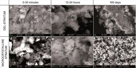 Evolution Of Texture Developed In The Gel Like Stratum A C And The Download Scientific