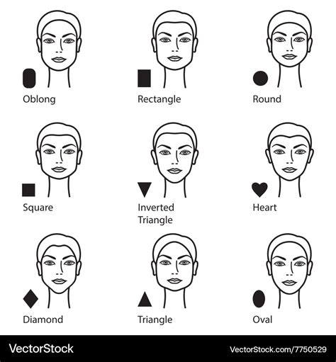 Face Shape Classification Royalty Free Vector Image