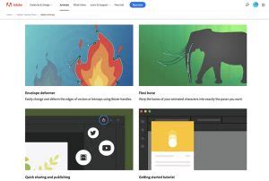 How To Use Adobe Animate For Graphics Animations