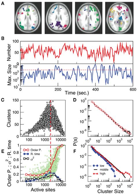 Fmri Avalanches Neurohackademy