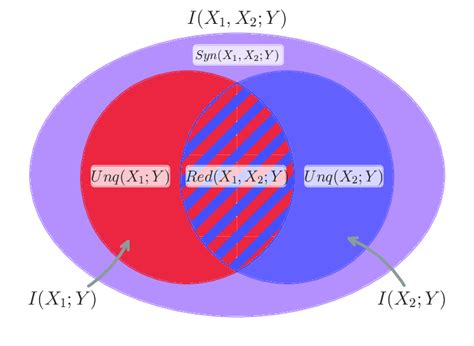 Partial Information Decomposition For Two Predictor Variables And A