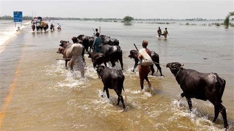 Concave Agri Steps Up Rehabilitation Efforts After Flood Damage To