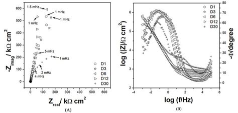 Impedance Diagrams For Ha Sample In Non Aerated And Unstirred Hanks Download Scientific