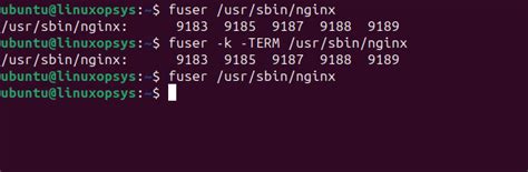 Fuser Command In Linux Explained With Examples Fuser Command In Linux Explained With Examples
