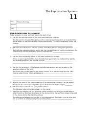 Pre Lab 11 Docx The Reproductive Systems 11 Name Shanena Brumsey Instruct Or Date PRE